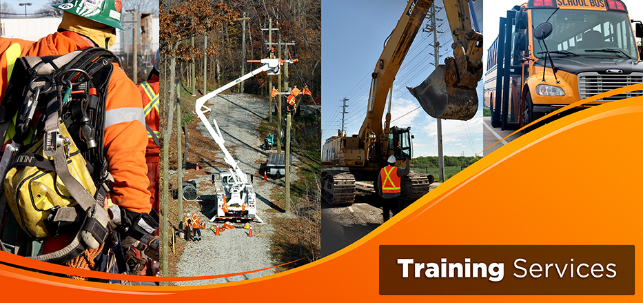 Call to Action: Pause for Safety