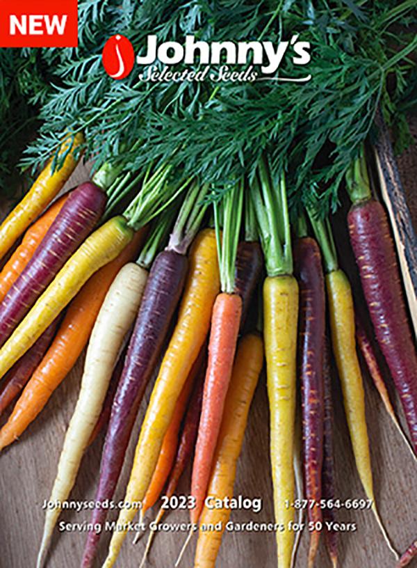 Favorite seed catalogs, seeding tips & garden video