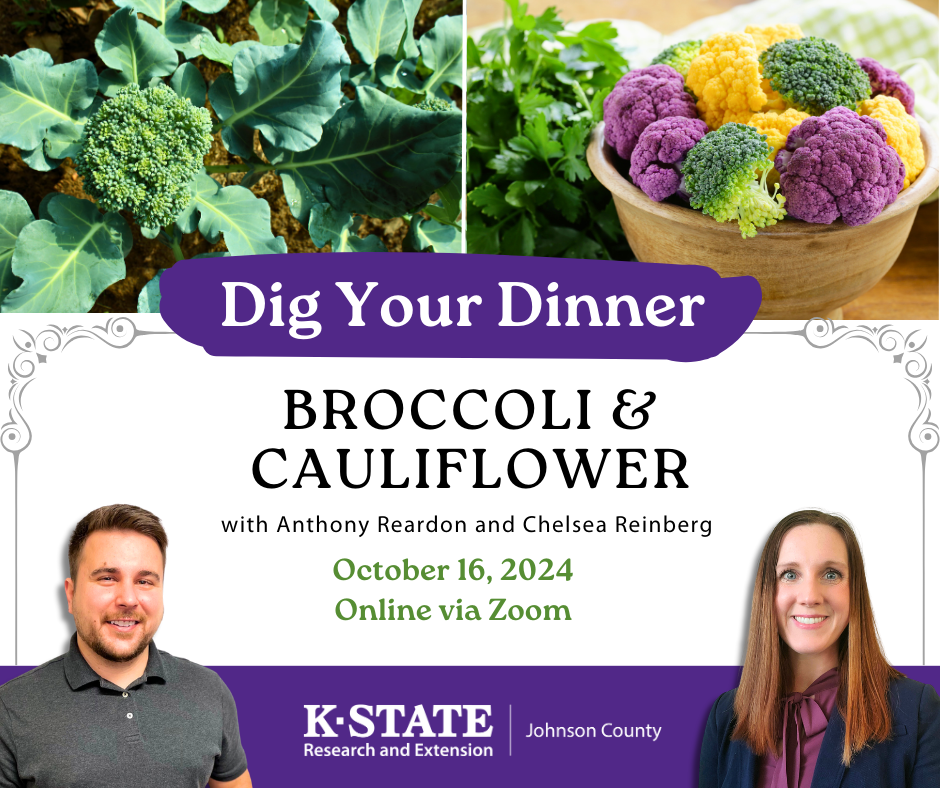 Dig Your Dinner: Broccoli and Cauliflower