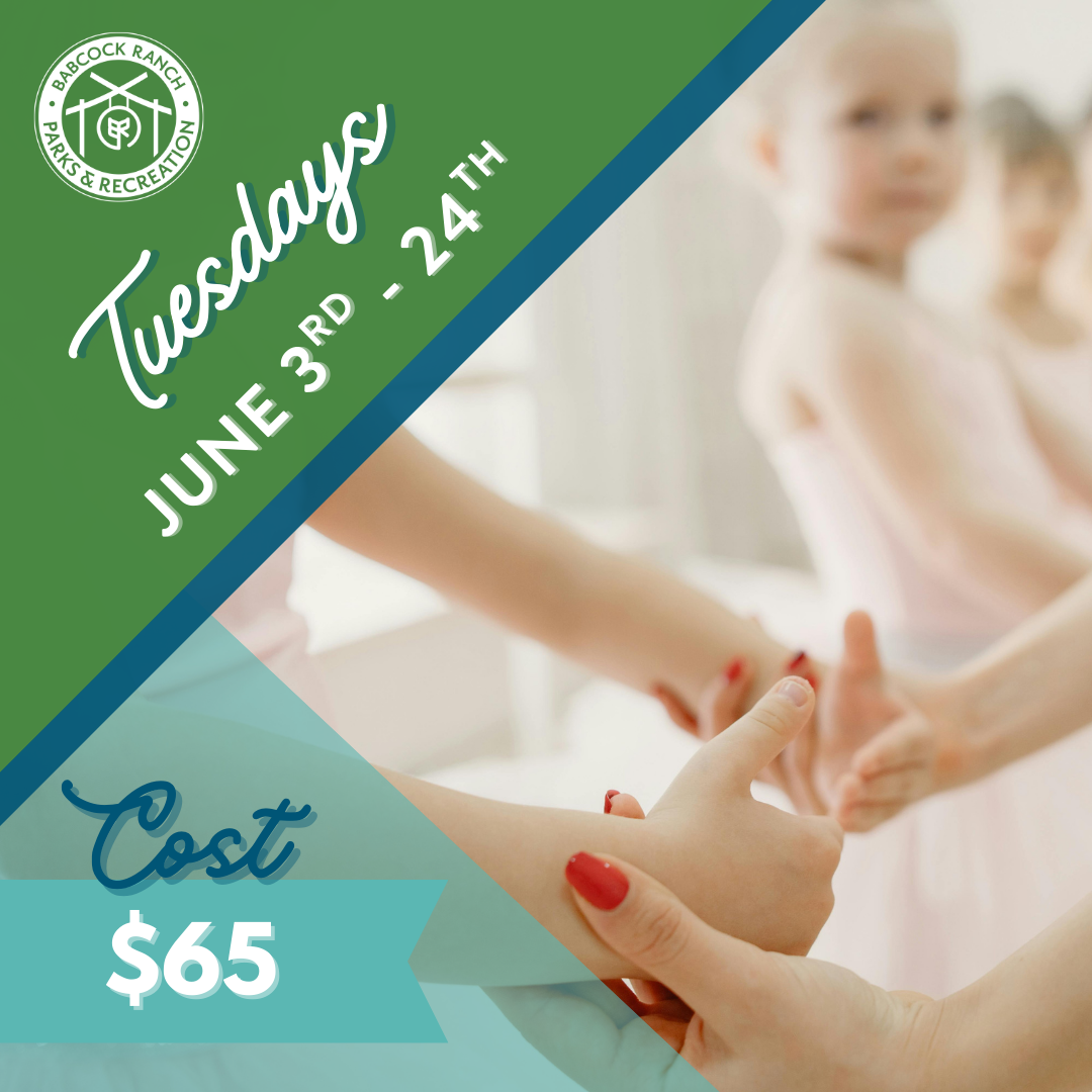 Parks and Recreation Programming and Events