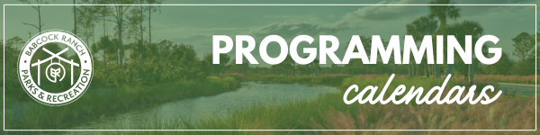 Parks and Recreation Programming and Events