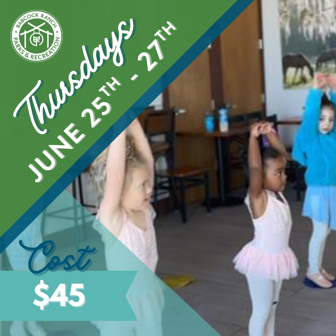 Parks and Recreation Programming and Events