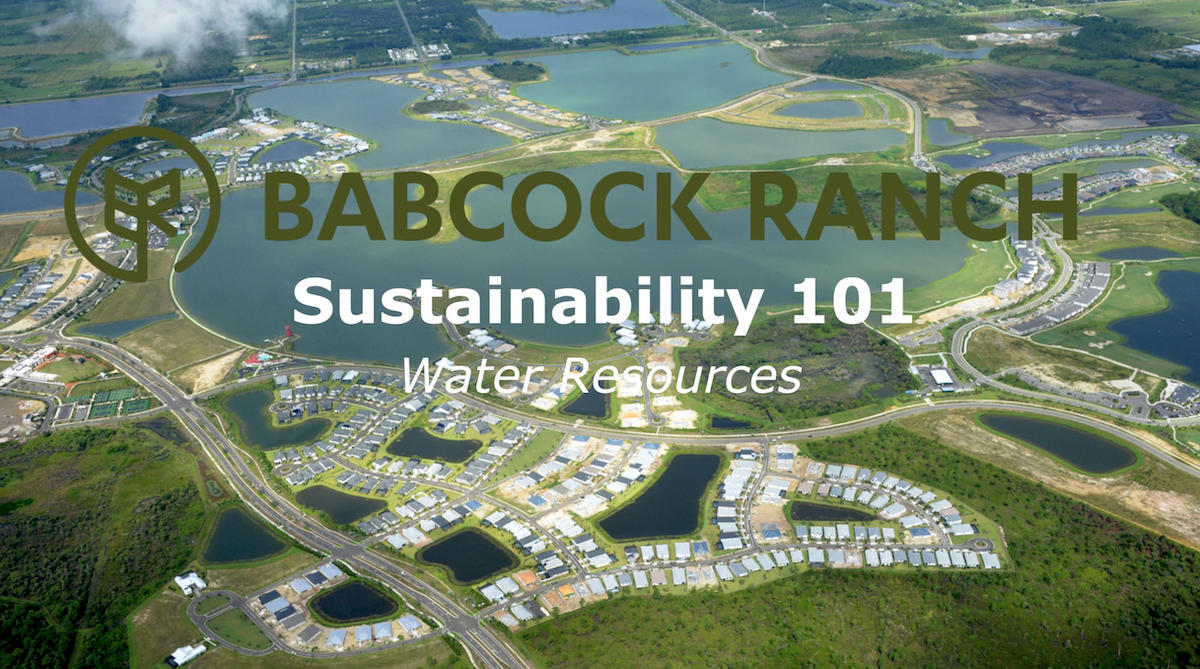 Babcock Bulletin 5/6/23