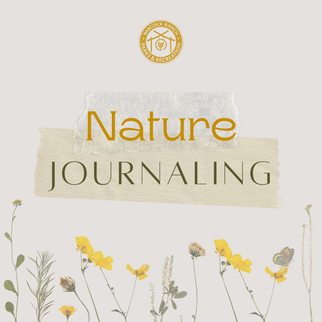 Parks and Recreation Programming and Events