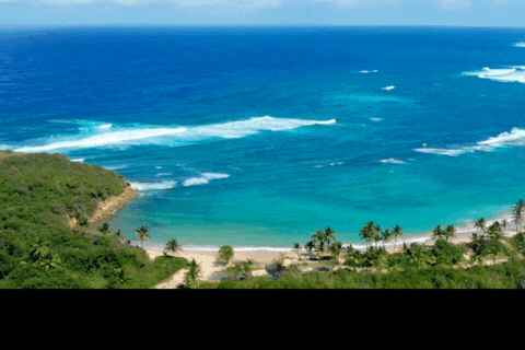 Join Madera at Marival Luxury Residences!