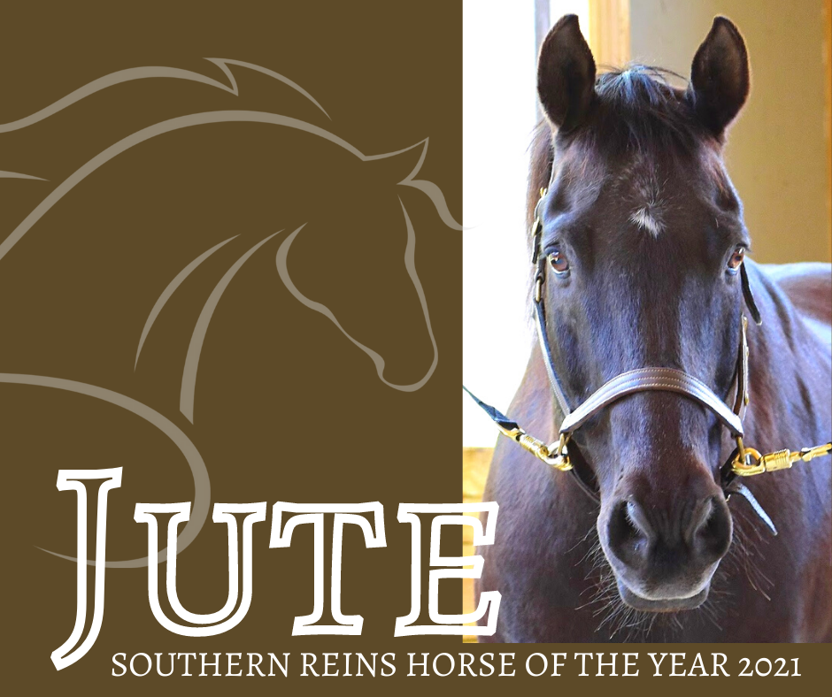 Southern Reins December 2021 Newsletter