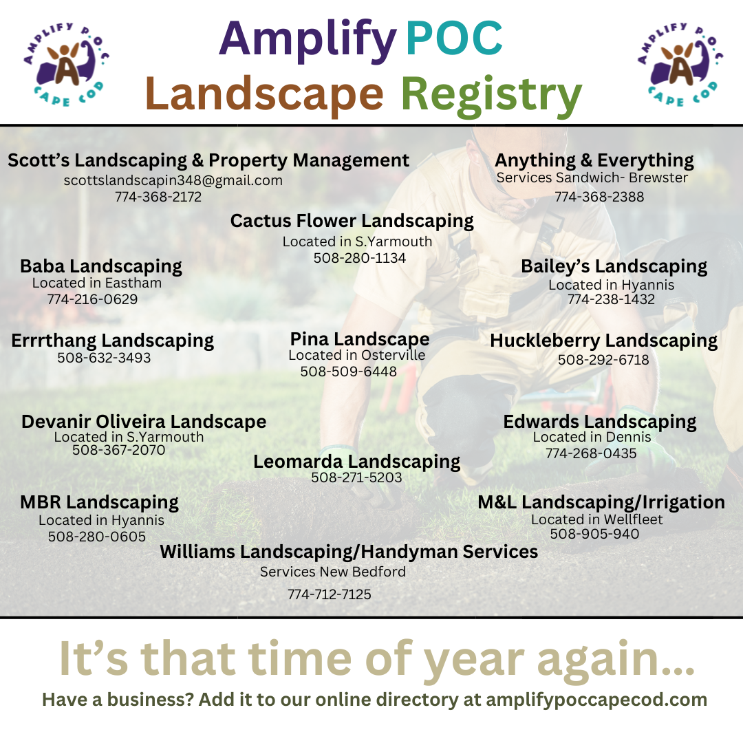 Fall Newsletter - Amplify POC Cape Cod