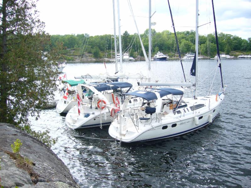 COSMOS May/June 2021 Newsletter