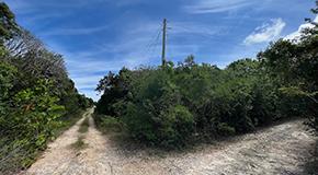 HG Christie January 2024 Sold Listings