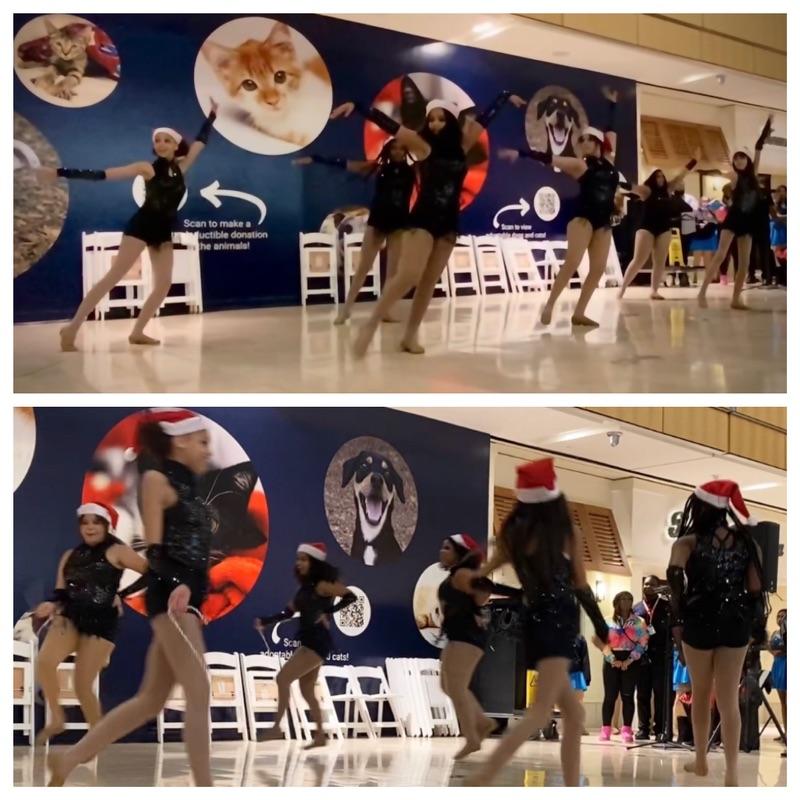 The Timberwolf Times - December 19, 2022