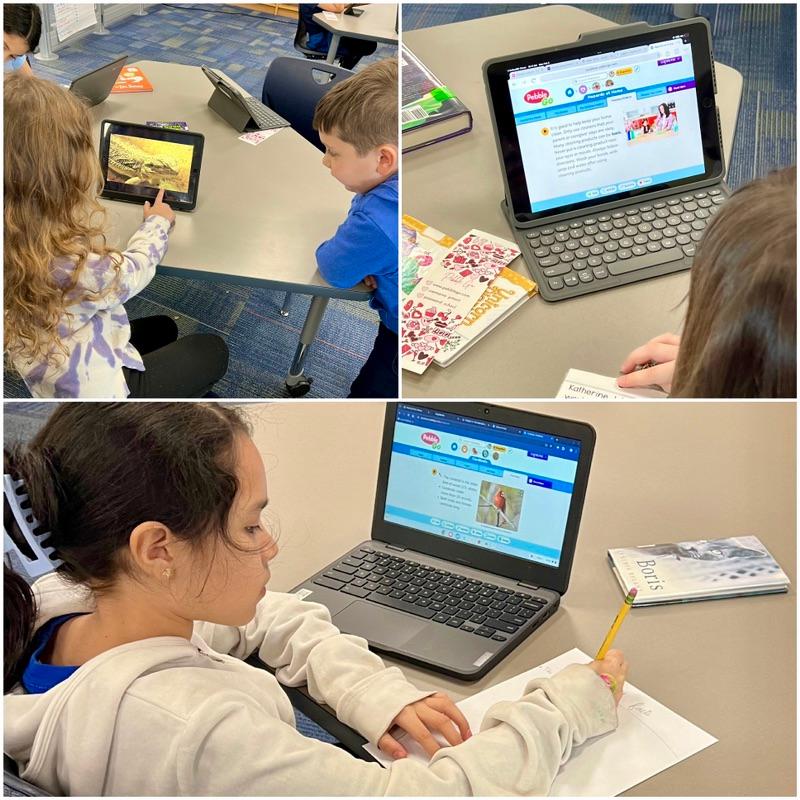 The Timberwolf Times