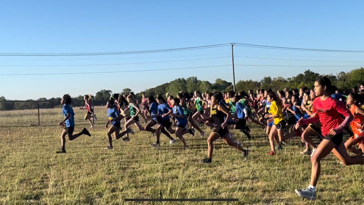 The Timberwolf Times - October 3, 2022