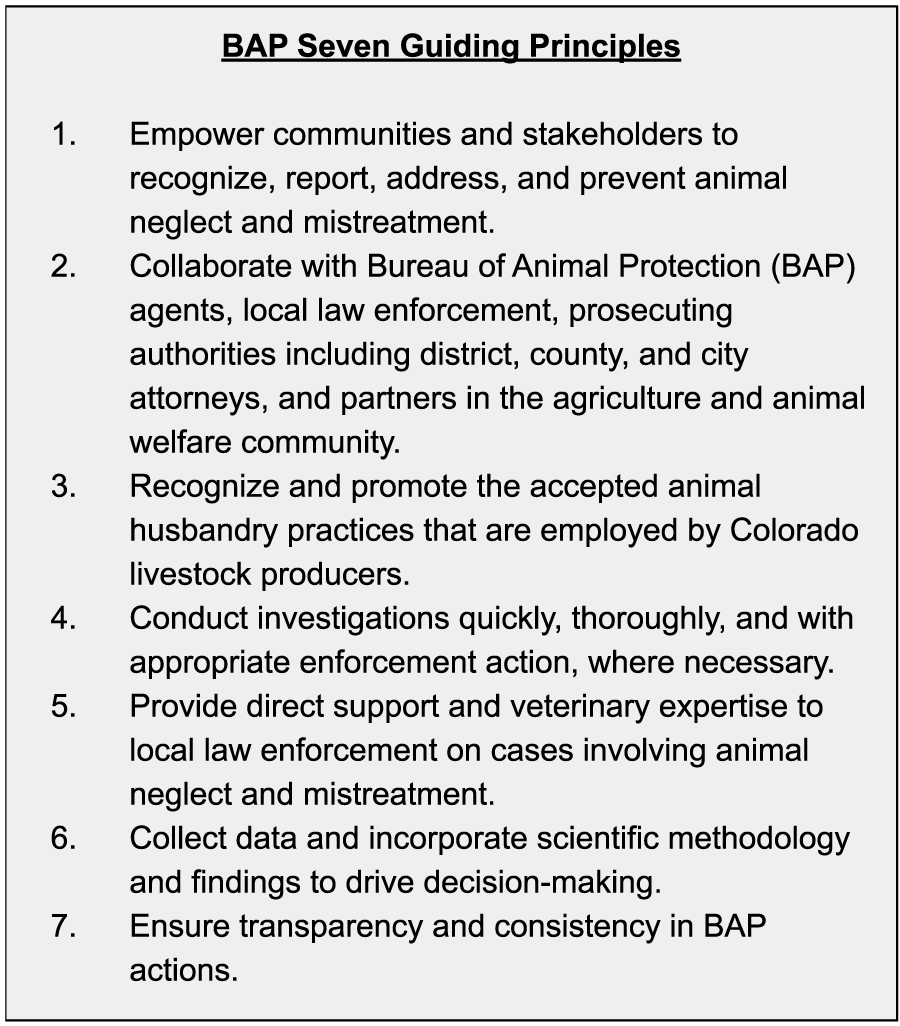 BAP Newsletter - Spring 2022