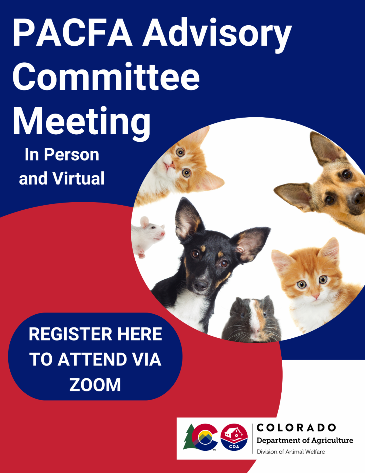 PACFA Newsletter - Spring 2025