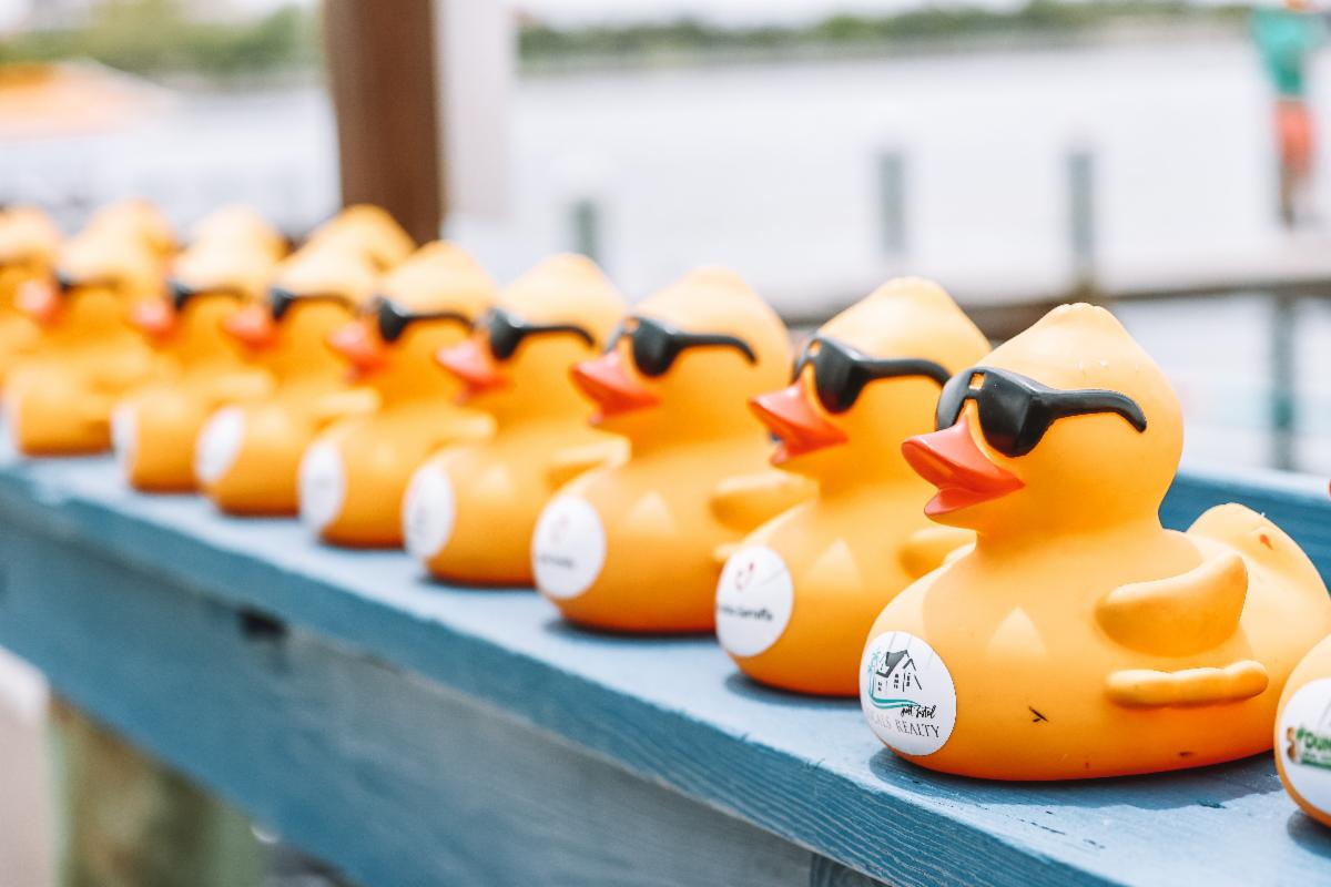 The Lucky Ducky Race for Pace is TOMORROW - do you have your ducks ...