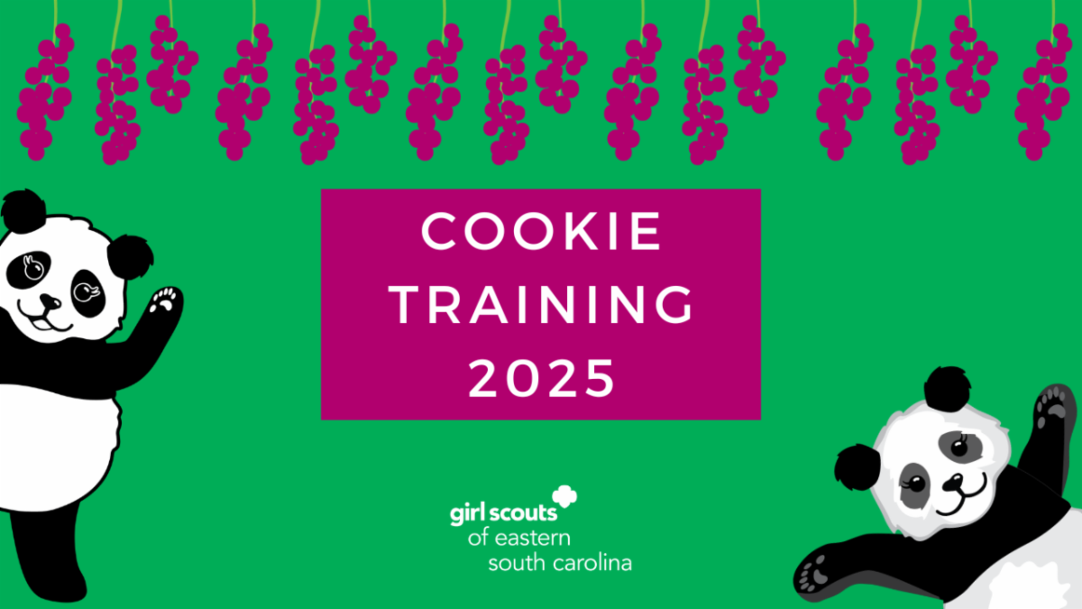 The GSESC View December