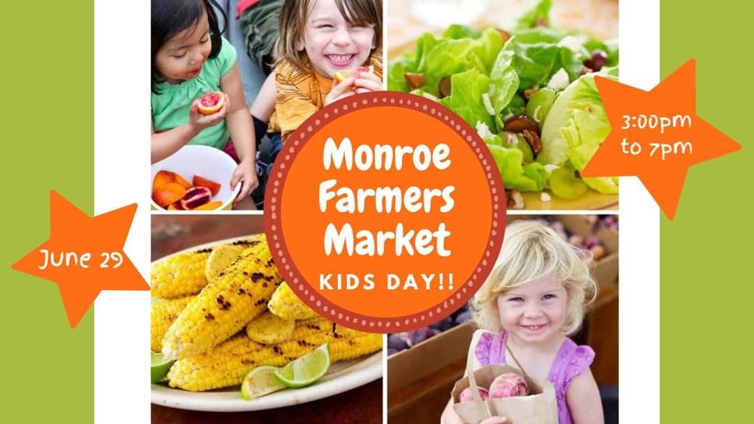 MTW Volume 8/Edition 24