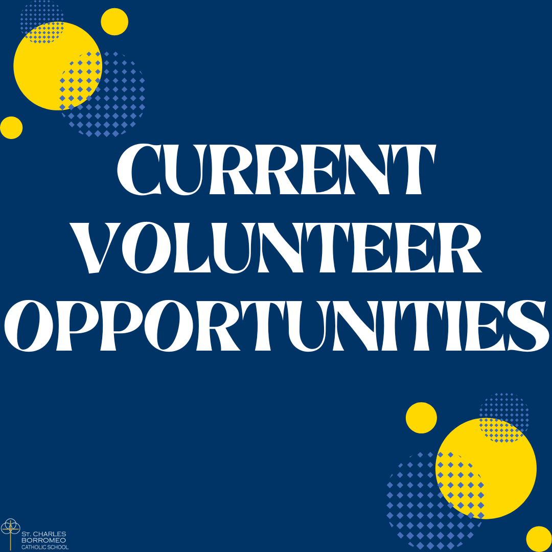 SCB Volunteer Opportunities