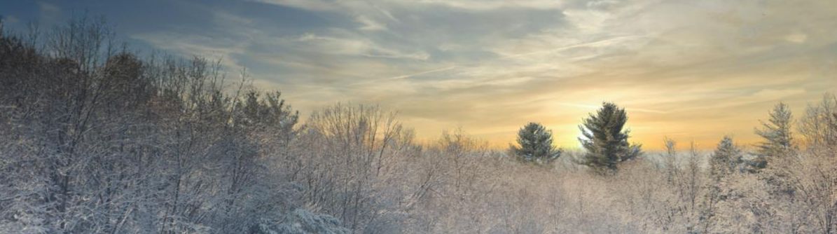 Your Monthly Review from Connecticut Land Conservation Council