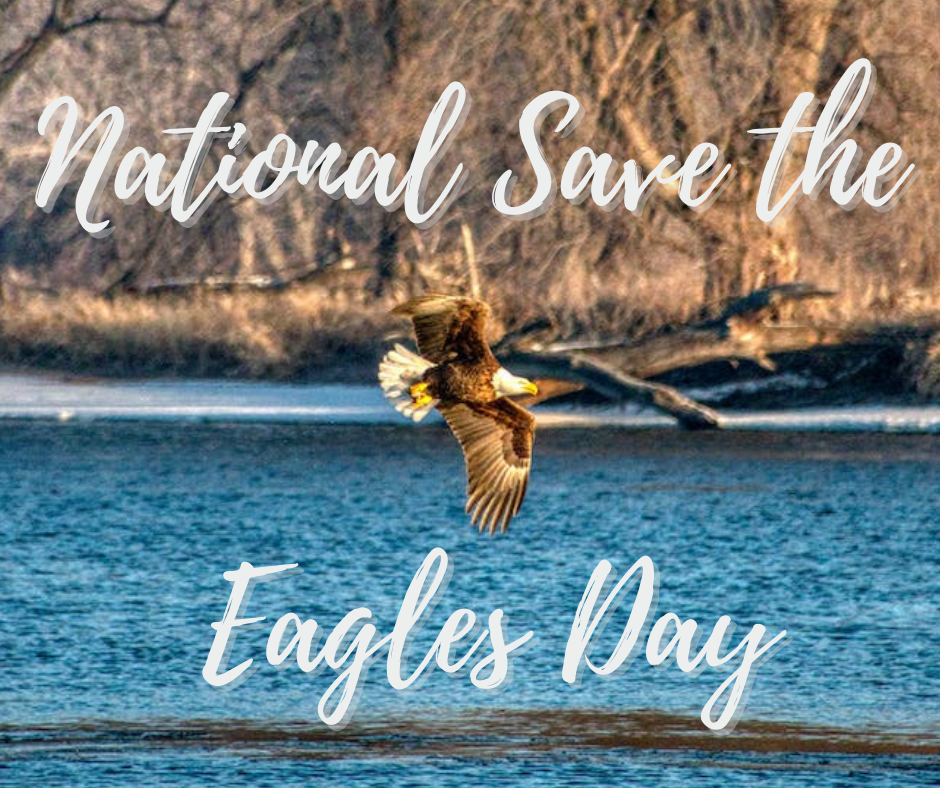 The latest news for you