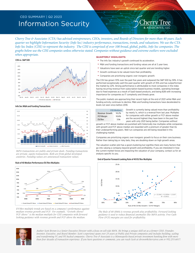 Info Sec CEO Summary - Trends, Transactions and Valuations