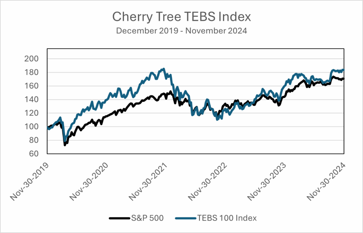 Cherry Tree TEBS Newsletter – November 2024 Transactions and Valuations