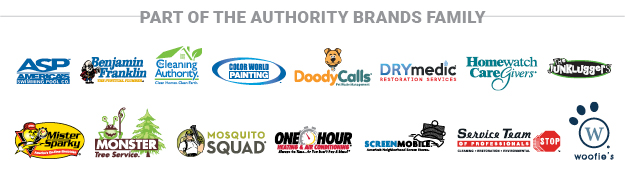 Authority Brands Connection Newsletter