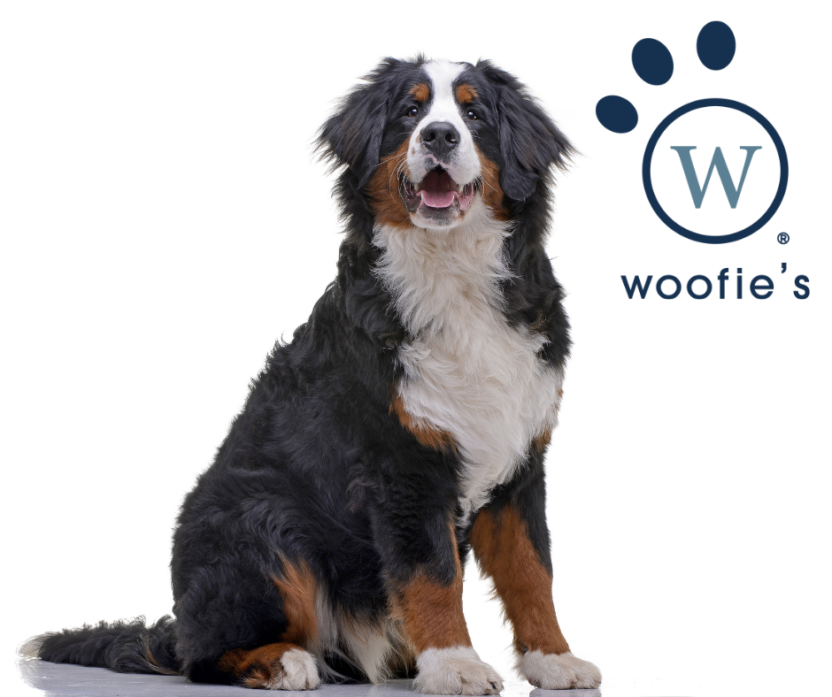 You're Invited to Join the Pack at Woofie's!