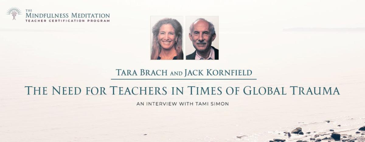 The Mindfulness Meditation Teacher Certification Program with Tara ...