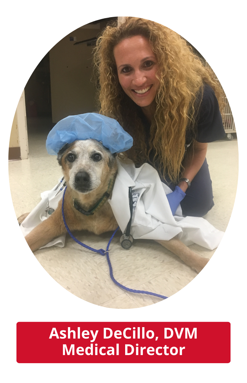 Advanced Ultrasound and Echocardiogram Services