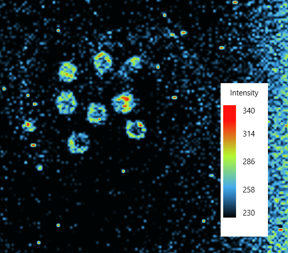New Application: Detecting the Emission of Luciferase in Stem and ...