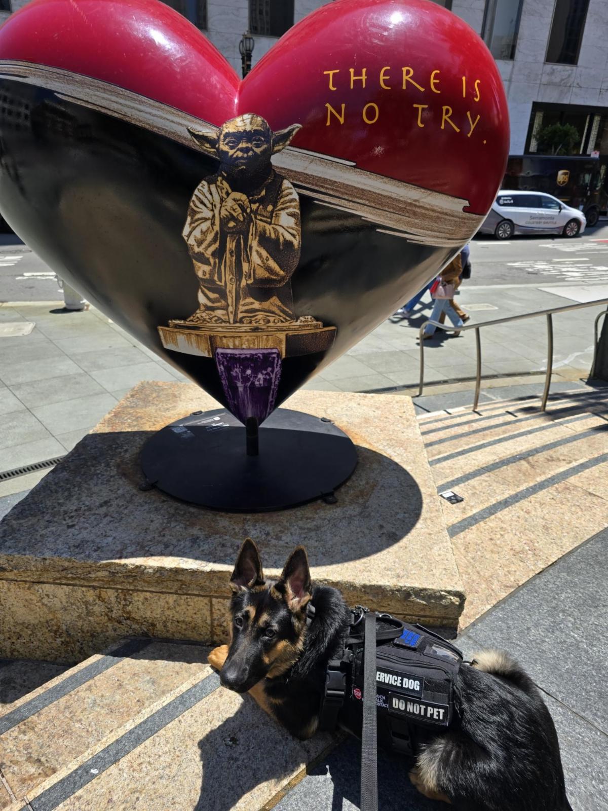 The Current - July 7, 2025 Edition Now Available!