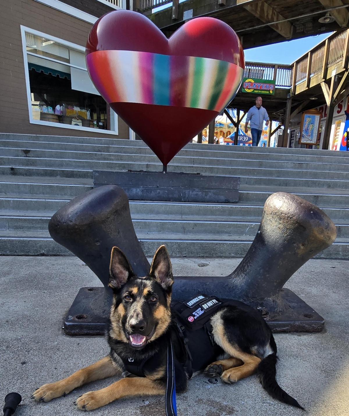 The Current - July 7, 2025 Edition Now Available!