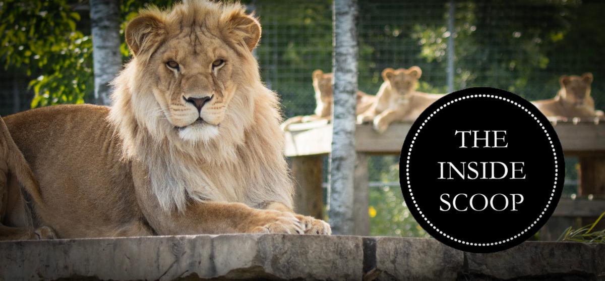 Amazing - wild animals enjoying our conservation land! 🐾