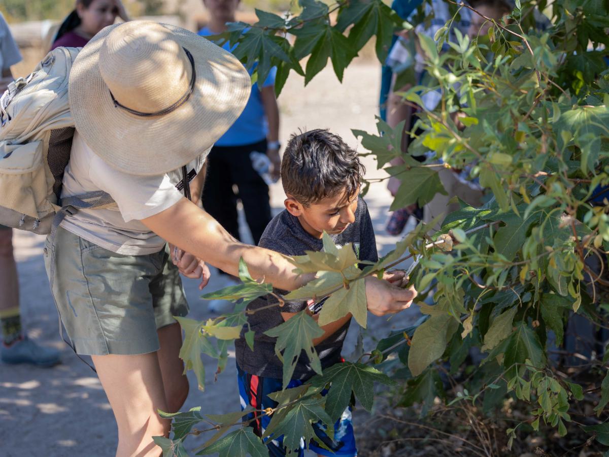 See the MTRP Photo Contest winners!