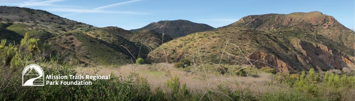 LAST CHANCE to Participate in FREE Summer Camp at MTRP