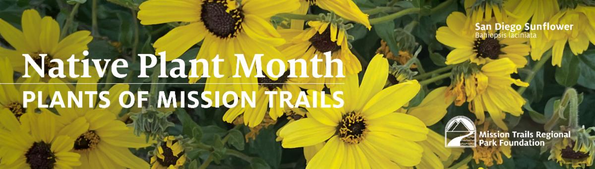 It's Native Plant Month AND California Native Plant Week