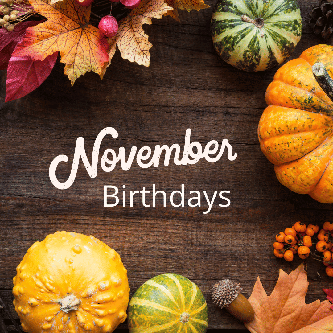 November Employee Newsletter - November