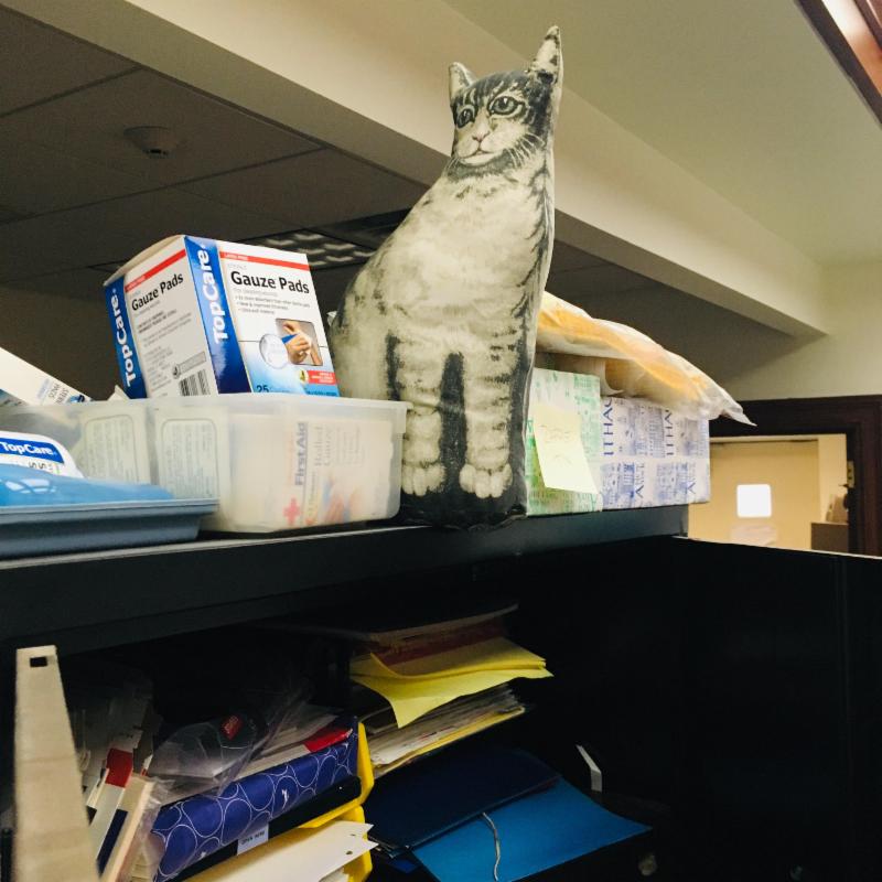 HistoryHappenings eNewsletter | Late April 2019