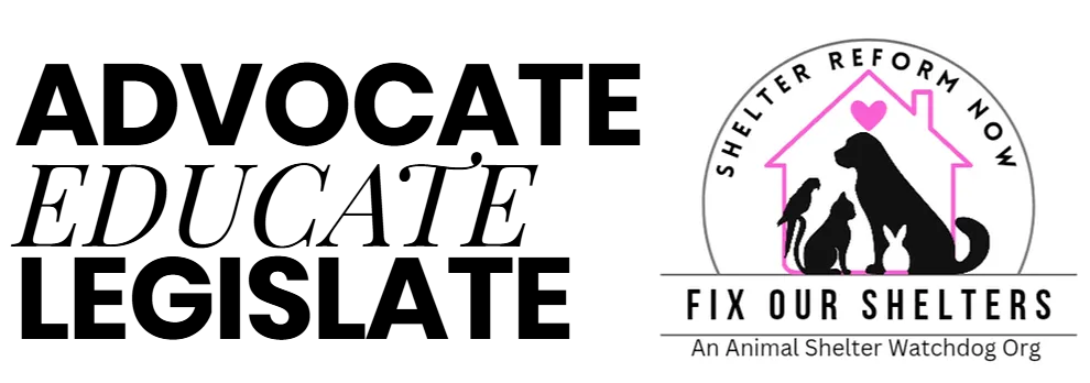 WILL YOU BE THE CHANGE TO TRANSFORM SHELTERING? Seeking dedicated ...