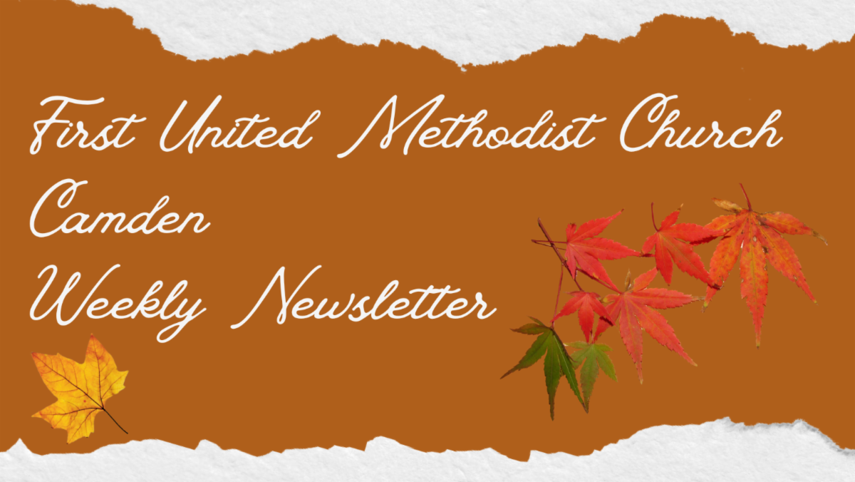 Weekly Email Weekly Email