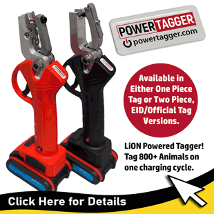 10% Bonus NLIS Sheep Tags, Allflex Club, $2.20 NLIS Cattle tags and ...