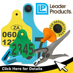 Plan ahead for 2025, New PowerTagger, Satellite tags and more.