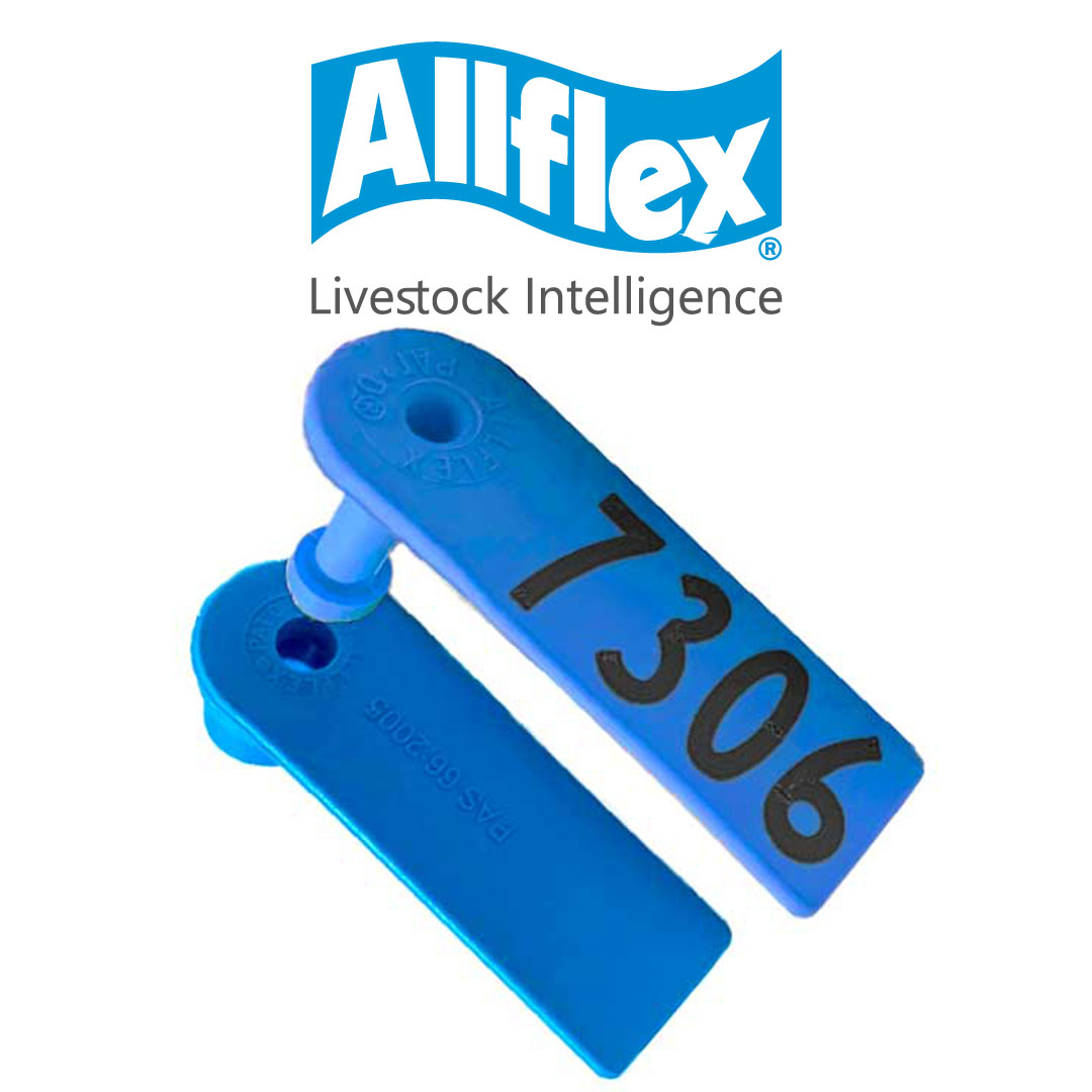 Tag, Treat, Weigh, Record! The latest AgTech solutions now in stock!