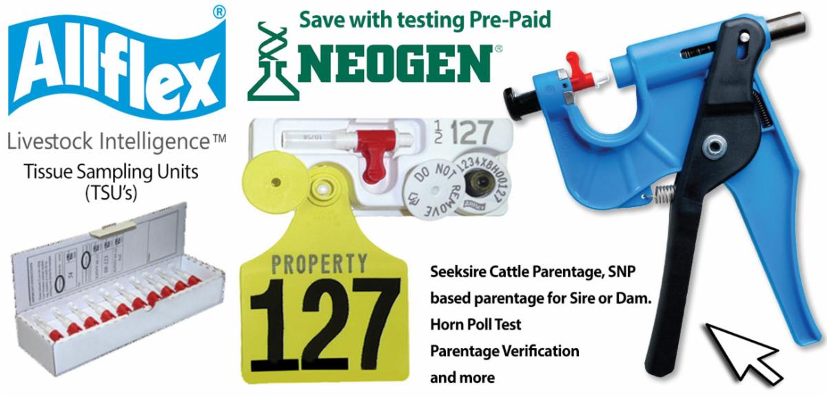 Free NLIS Tag Applicators - COVID Tag leadtimes update