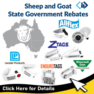 NLIS Tags & Other offers end 31st Dec '24