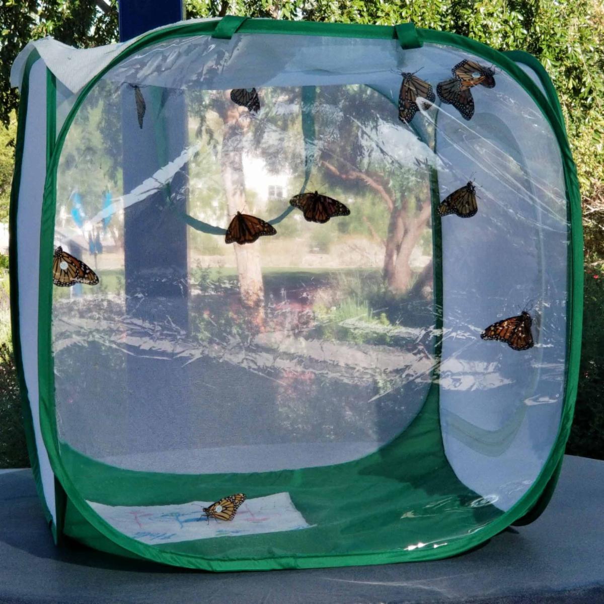 Get a taste of Extension 🍽️ Aug. 30