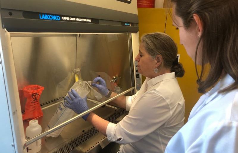 WRRC Summer Wave: New USDA-Funded Arizona Project WET/WRRC ...