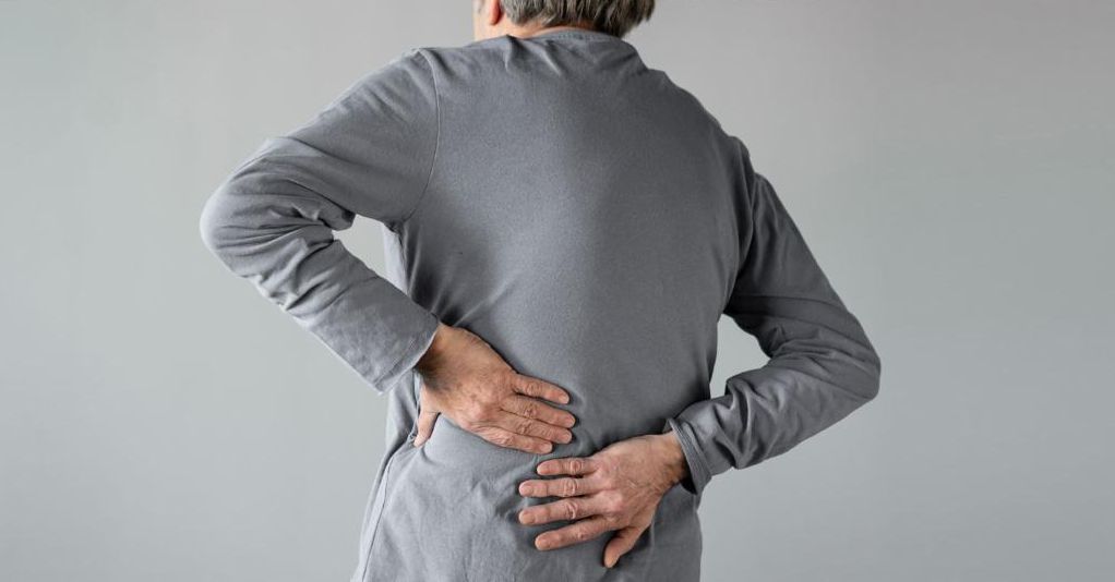 What Do You Know About Low Back Anatomy?