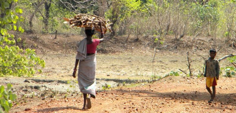 Victory Over Asbestos in India